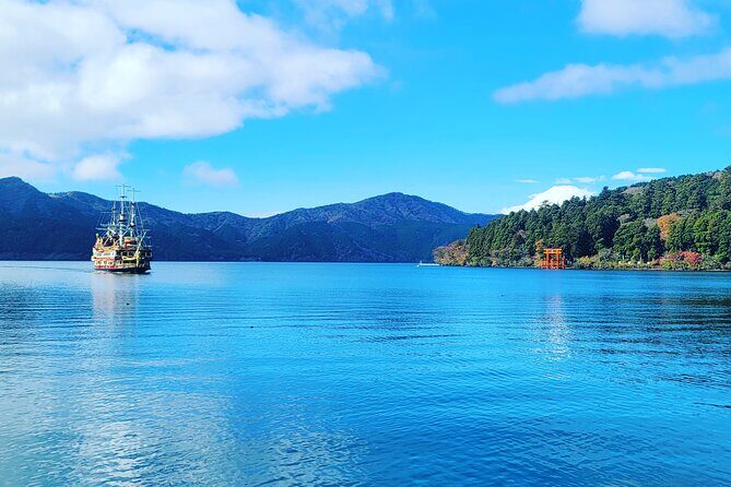 Mount fuji and Hakone Full day private sightseeing tour - Who Should Consider This Tour?