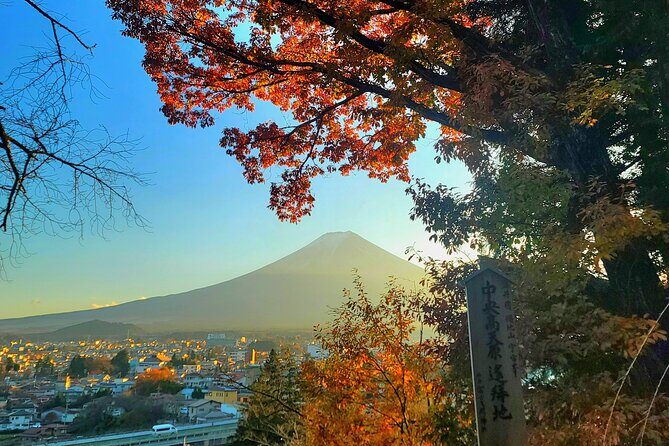 Mount fuji and Hakone Full day private sightseeing tour - Final thoughts