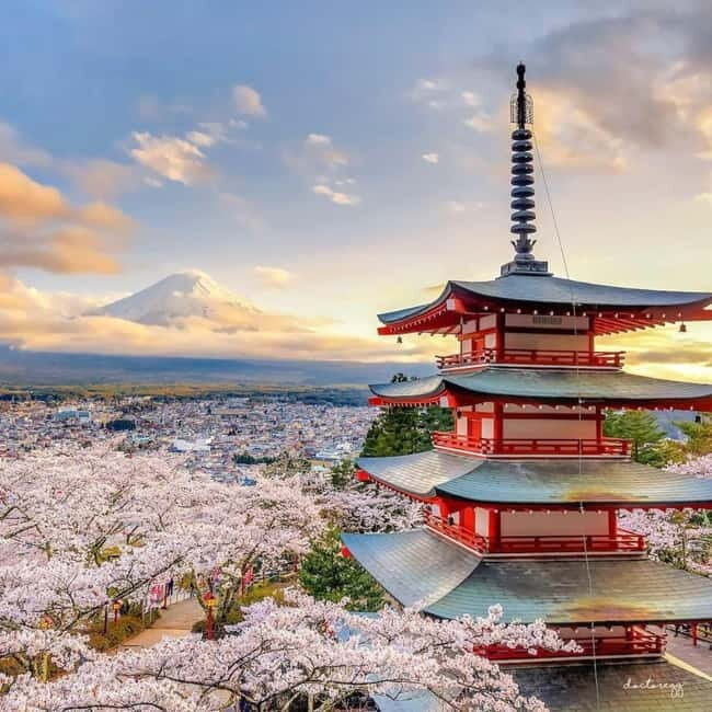 Mount fuji and Hakone full day private tour with English gui - Exploring the Details of the Tour