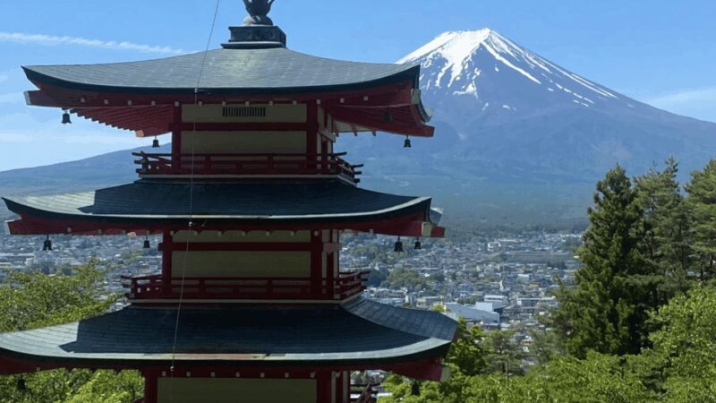 Mount fuji and Hakone full day private tour with English gui - The Sum Up