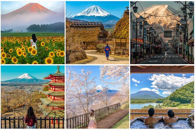 Mount Fuji And Hakone Private Customized English Tour with pickup - The Itinerary in Detail