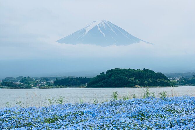 Mount Fuji And Hakone Private Customized English Tour with pickup - Final Thoughts
