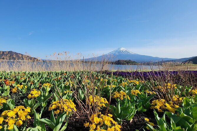 Mount Fuji And Hakone Private Customized English Tour with pickup - FAQ