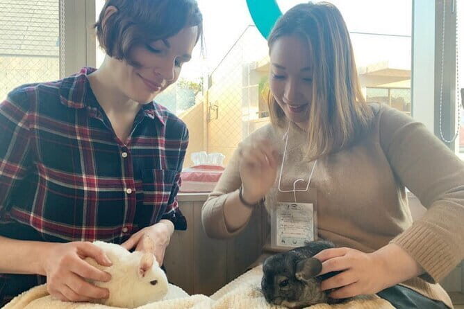 Mount Fuji and Hakone Private Day Trip by Car/Van - in English - Who Should Consider This Tour?