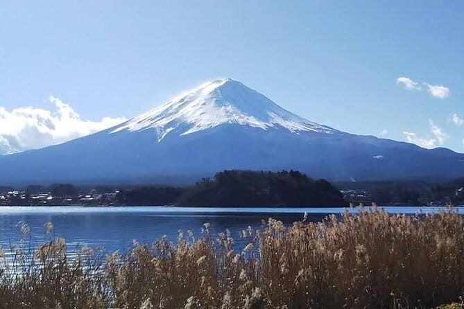 Mount Fuji and Hakone Private Day Trip by Car/Van - in English - FAQs