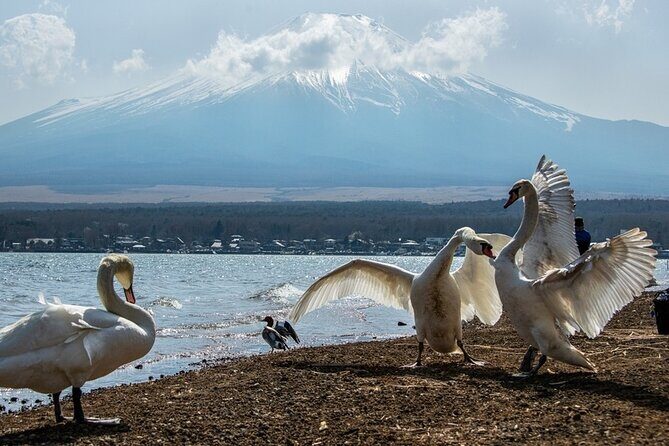 Mount Fuji and Hakone Private day trip from Tokyo - The Sum Up: A Well-Rounded, Flexible Experience