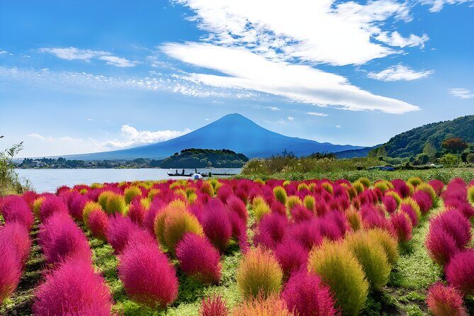 Mount Fuji and Hakone Private day trip from Tokyo - FAQ