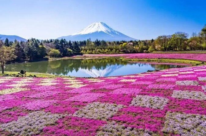Mount Fuji and Hakone Private Tour by Car with Pickup from Tokyo - The Sum Up: Who Should Consider This Tour?