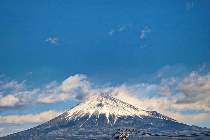 Mount Fuji and Hakone Private Tour with English Speaking Guide - A Deep Dive into the Experience