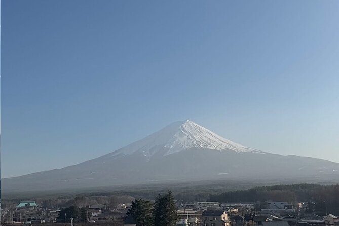 Mount Fuji and Hakone Private Tour with English Speaking Guide - FAQs