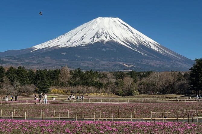 Mount Fuji and Hakone Private Tour with English Speaking Guide - Transport and Timing