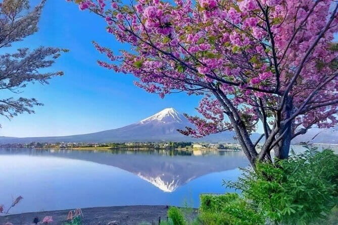 Mount Fuji and Hakone Private Tour with English Speaking Guide - Who Will Love This Tour?