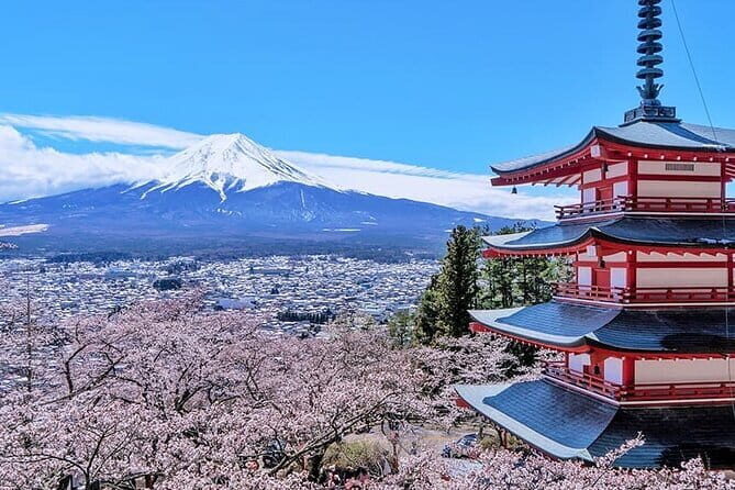 Mount Fuji and Hakone Private Tour With Pick And Drop - Key Points
