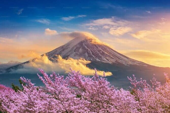 Mount Fuji and Hakone Private Tour with Pickup from Tokyo - Who Will Enjoy This Tour Most?