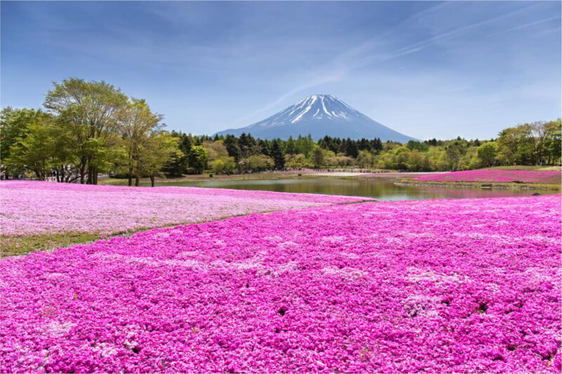 Mount Fuji and Hakone Tour with Personal Driver & Transport - A comprehensive look at the tour