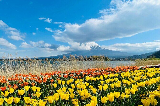 Mount Fuji and Iconic Scenic Spots Day Tour - Convenient Departure Points and Transportation