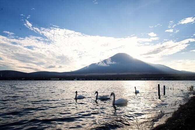 Mount Fuji and Lake Kawaguchi Private Day Trip From Tokyo - Final Thoughts