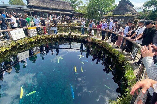 Mount Fuji Customizable one day Private Guided Tour from Tokyo - The Pros and Cons: What Travelers Are Saying