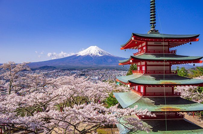 Mount Fuji Customize Private Day Trip with Driver From Tokyo. - FAQs