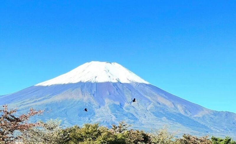 Mount Fuji Customize Private Tour with English Driver - FAQs
