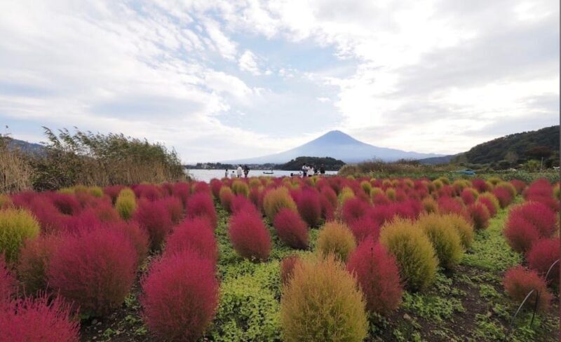 Mount Fuji Customize Private Tour with English Driver - Final Thoughts