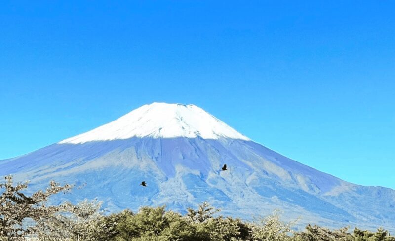 Mount Fuji Customized Tour with English Speaking Guide - Who Will Love This Tour?