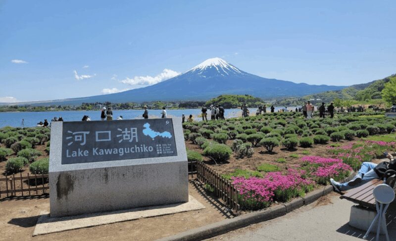 Mount Fuji Customized Tour with English Speaking Guide - The Sum Up
