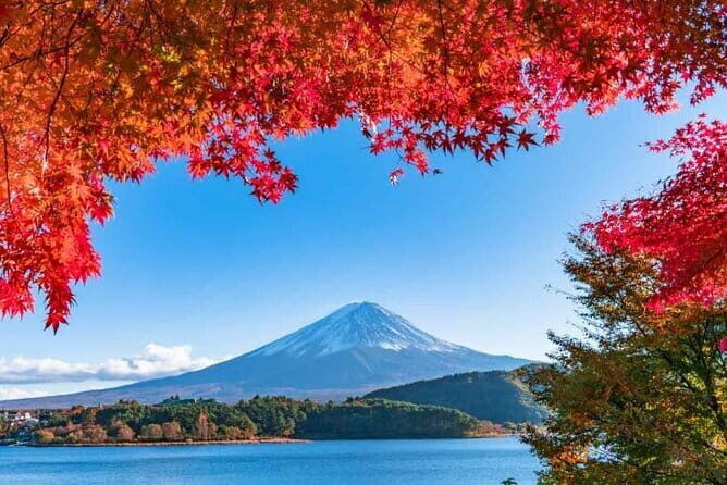 Mount Fuji Day Tour by Chartered Car - An In-Depth Look at the Tour