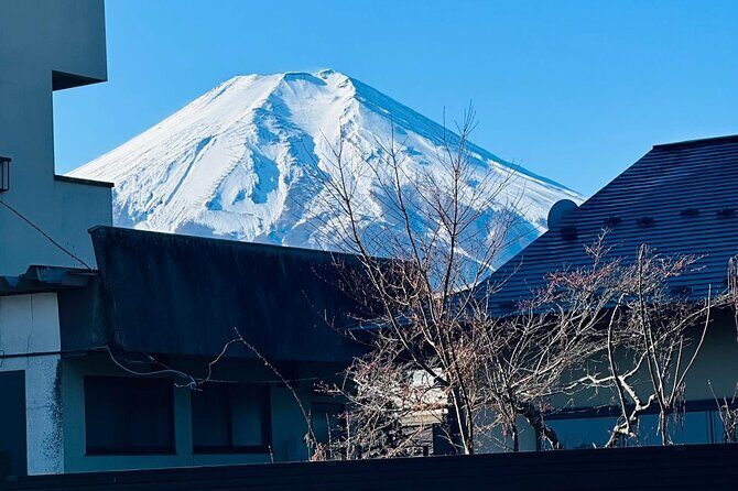 Mount Fuji Day tour licensed plates vehicles with english driver - Who Would Enjoy This Tour?