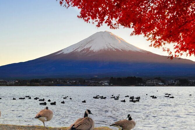 Mount Fuji Day Tour with Matcha Experience, and Arakurayama Park - Key Points