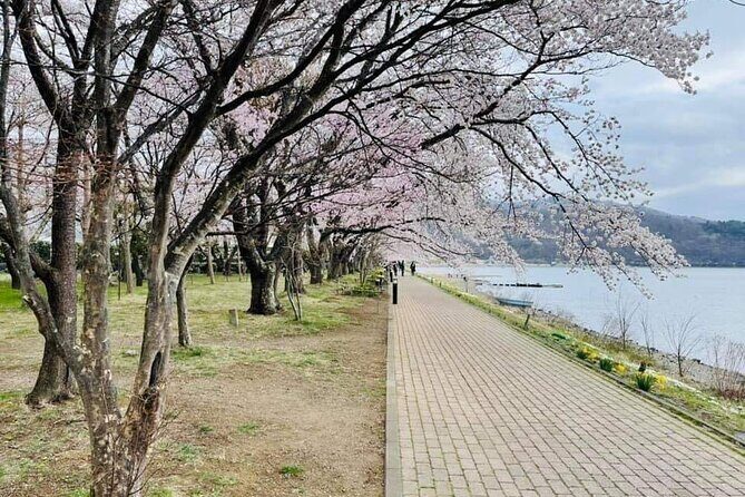 Mount Fuji Day Tour with Matcha Experience, and Arakurayama Park - Our Take: Who Is This Tour Best For?