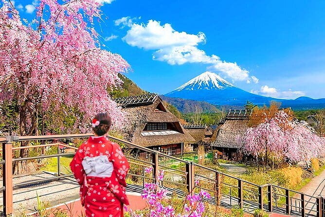 Mount Fuji Day Tour:Scenic Lakes,Village, Pagoda,Oshino Hakkai - Key Points