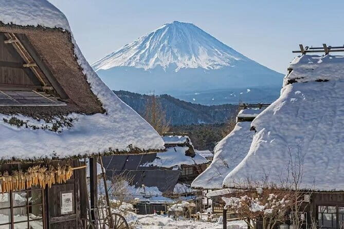 Mount Fuji Day Tour:Scenic Lakes,Village, Pagoda,Oshino Hakkai - Transportation, Timing, and Group Dynamics