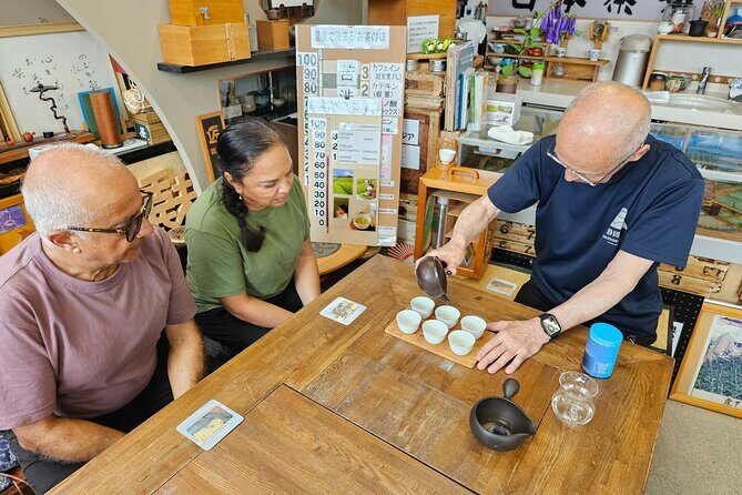 Mount Fuji E-Bike Tour: Explore Nature and History - An In-Depth Look at the Mount Fuji E-Bike Experience