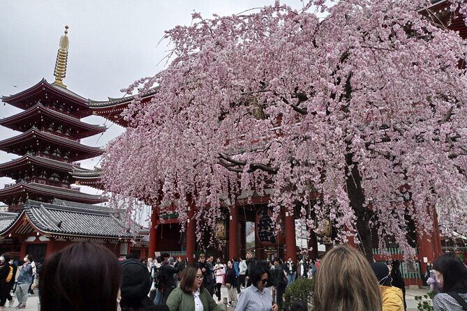 Mount Fuji Escape: A Private Tour - The Experience’s Value