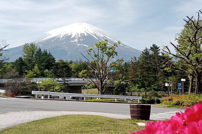 Mount Fuji Escape: A Private Tour - Frequently Asked Questions