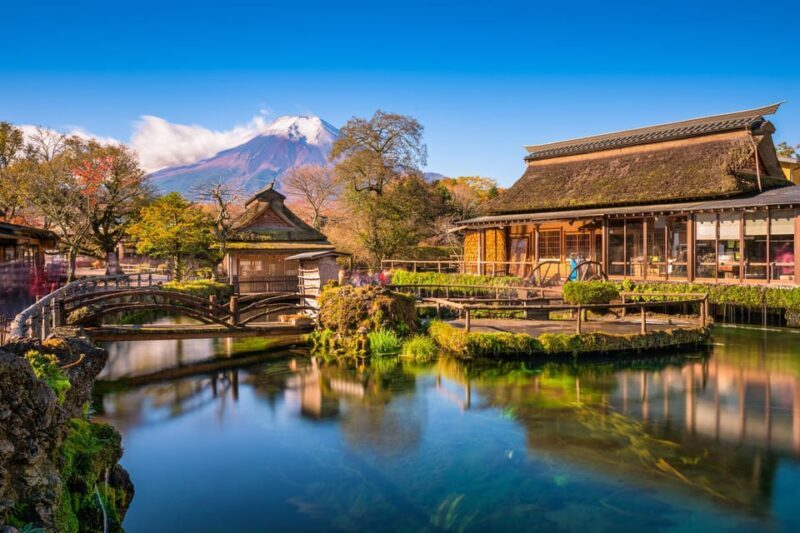 Mount Fuji: Exclusive Private Car Tour - The Experience: What You Can Expect on the Tour