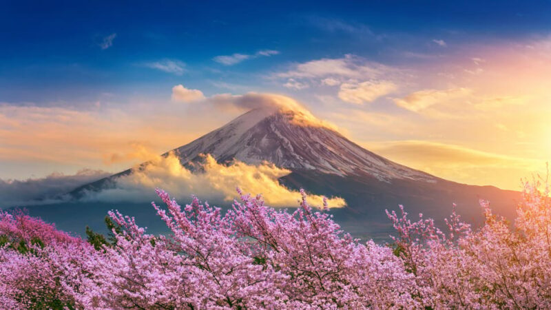 Mount Fuji: Exclusive Private Car Tour - Why Does This Tour Offer Good Value?