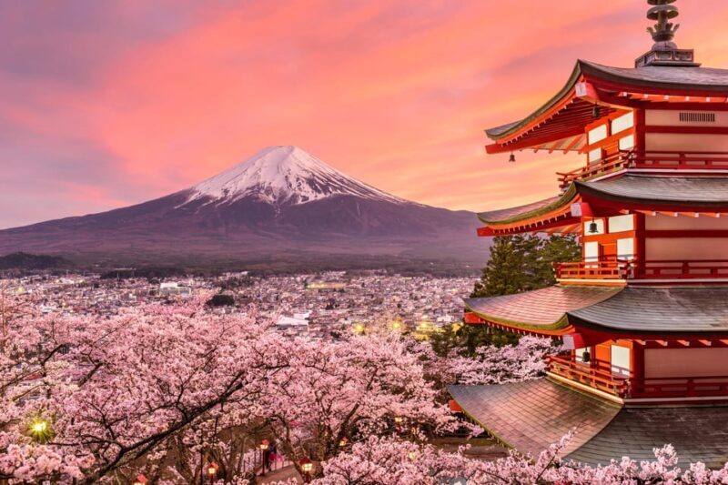 Mount Fuji: Exclusive Private Car Tour - Summary: The Overall Value