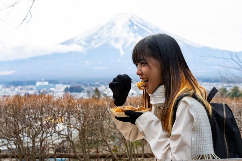 Mount Fuji: Exclusive Private Car Tour - FAQ: Common Questions About the Mount Fuji Private Car Tour