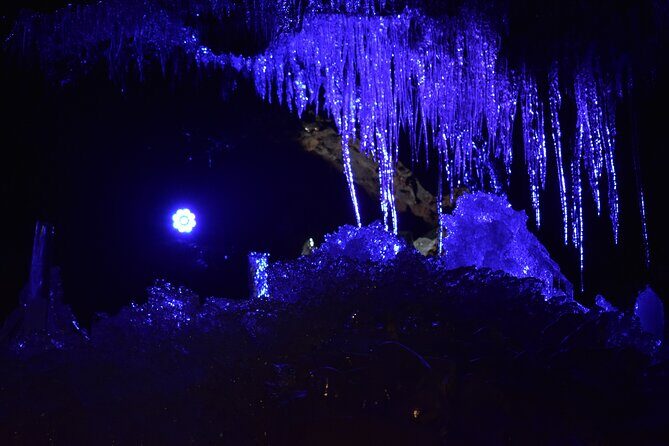 Mount Fuji Five Lakes Tour from Tokyo with Guide & Vehicle - Key Points