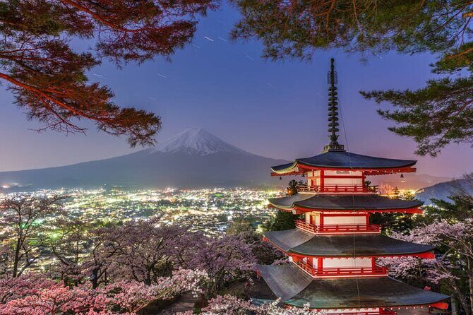 Mount Fuji Full Day Customize Private Tour with English Guide - Analyzing the Value