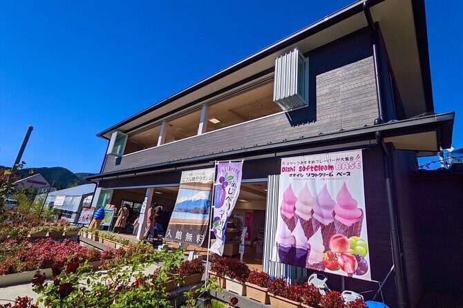 Mount Fuji Full Day Customize Private Tour with English Guide - Who This Tour Is Best For