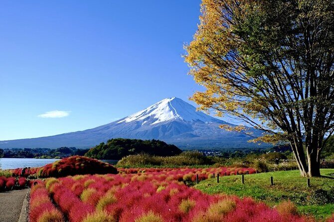 Mount Fuji Full Day Customized Private Tour with English Guide - The Experience in Detail