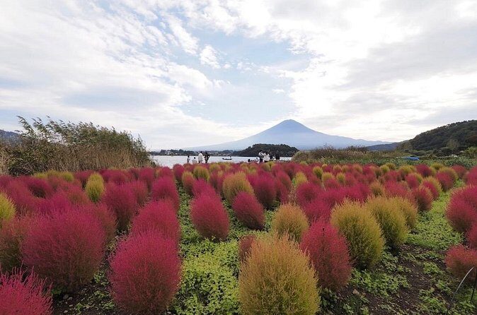 Mount Fuji Full Day Customized Private Tour with English Guide - Who Should Consider This Tour?