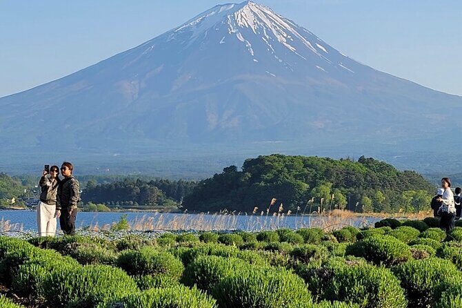 Mount Fuji Full Day Customized Private Tour with English Guide - The Sum Up