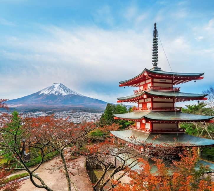 Mount Fuji Full-Day Private Customizable Tour From Tokyo - What You Can Expect from This Tour