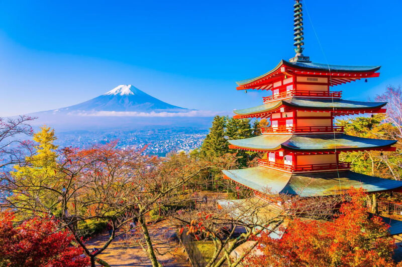 Mount Fuji Full-Day Private Tour from Tokyo (Customizable) - Who Will Love This Tour?