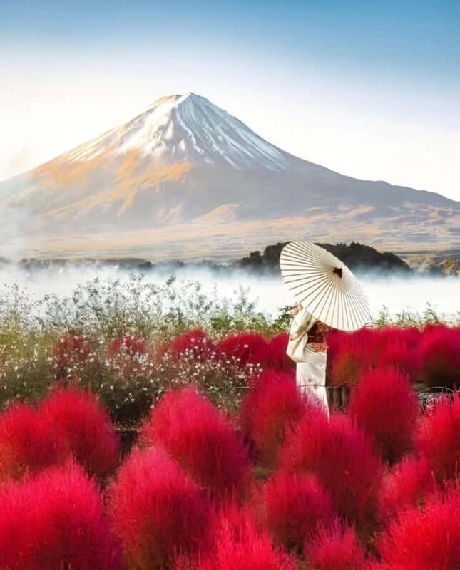 Mount Fuji Full Day Private Tour From Tokyo (Customizable) - Key Points