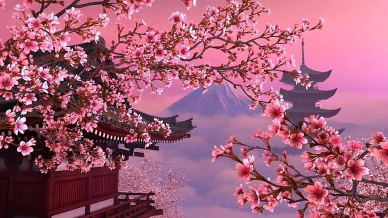 Mount Fuji Full Day Private Tour From Tokyo (Customizable) - What Travelers Are Saying
